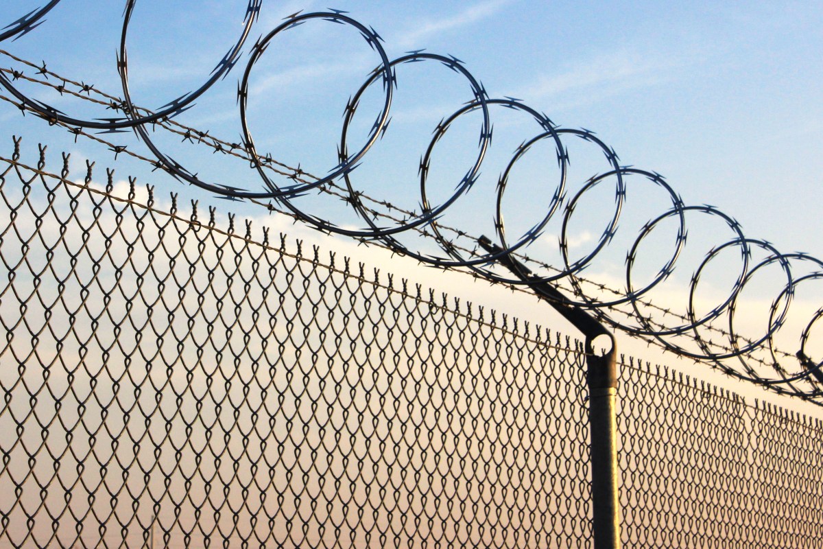 Bourgass in the Supreme Court: Solitary Confinement, the Carltona ...